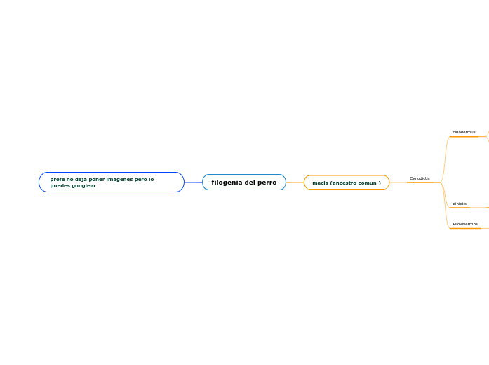 filogenia del perro - Mind Map
